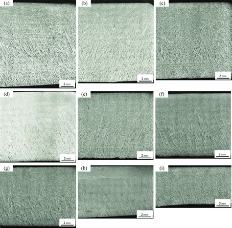 Dendritic Morphology At Wide Face Center On The Cross Section With Download Scientific Diagram