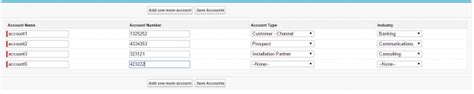 Custom Controllers And Controller Extensions Salesforce Tutorial