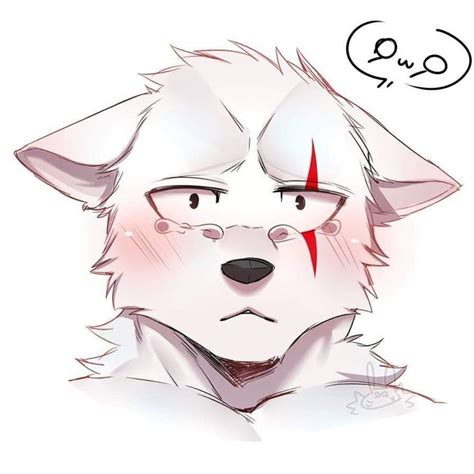 Pin By Andre On Ilustração Furry Drawing Anthro Furry Furry Wolf