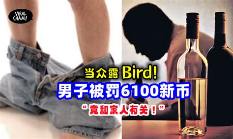 当众露鸟狮城男子喝醉后竟脱裤撒野被罚6100新币