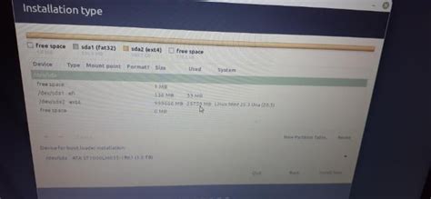Partitioning Help Rlinuxmint