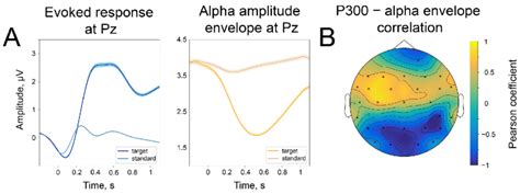 Temporal Similarity Between P300 And The Alpha Amplitude Envelope A Download Scientific