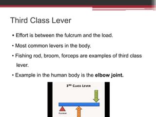 KINECSIOLOGY LECT LEVER SYSTEM Pptttttx PPTX