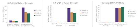 ChIP Seq Spike In Normalization