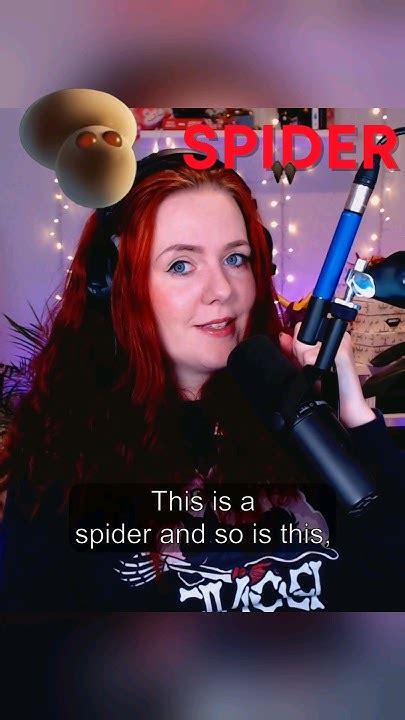 Arachnophobia Mode In Lethal Company 👏🏻 Youtube