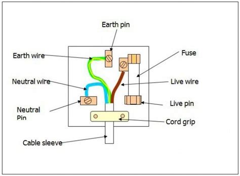Pin Plug Wiring Diagram Database