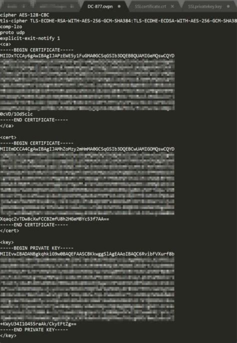 How To Eliminate The Certificate Warning Message Whenever Creating The VPN Tunnel To NAS Using