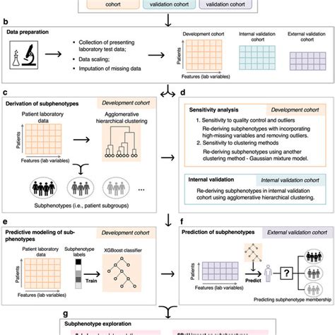 A Schematic Of The Analysis Plan A Strategy For Construction Of Download Scientific Diagram