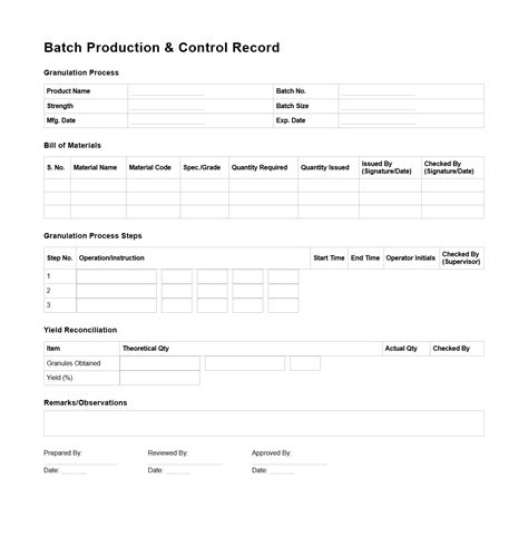 Comprehensive Batch Production Record Document Template For