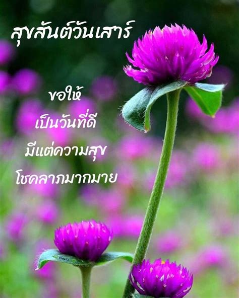 วันเสาร์🌿💜 ธรรมชาติที่สวยงาม ชายหาด อรุณสวัสดิ์