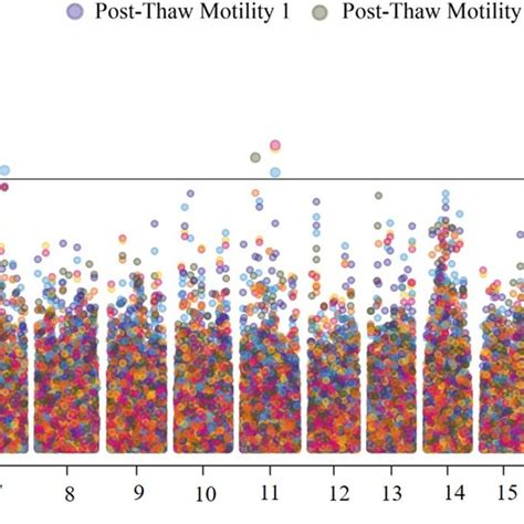 Manhattan Plot Showing The Result Of Genome Wide Association Mapping Download Scientific