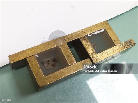 Embedding Tissues In Paraffin Blocks For Sectioning Using A Paraffin Dispenser Histopathology