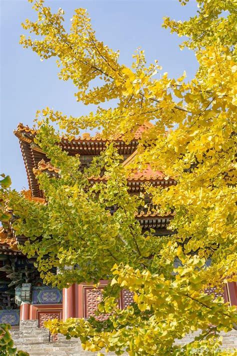 施，何时该读（yì）？ 知乎