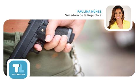 La Nueva Ley Contra El Crimen Organizado Timelinecl