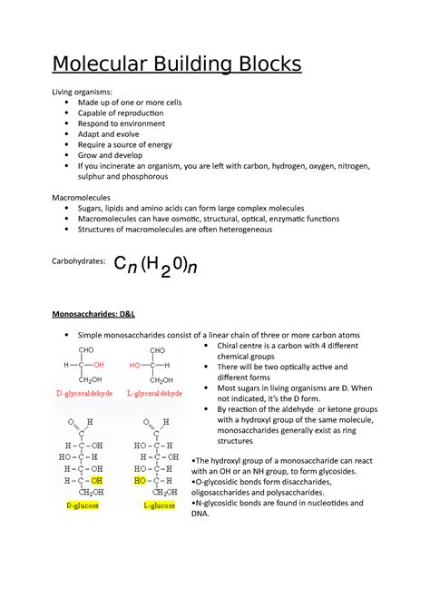 Molecular Building Blocks Molecular Building Blocks Living Organisms