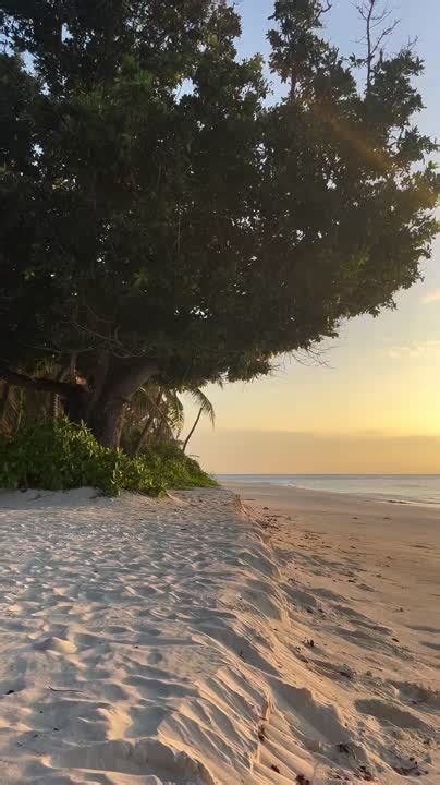 Video Susheel Kumar On Linkedin Amazing