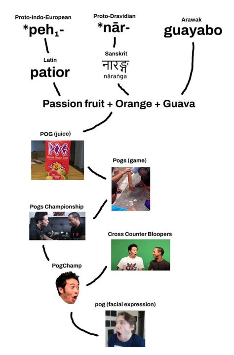 Pog Etymology Im Sorry If I Got Something Wrong R Linguisticshumor