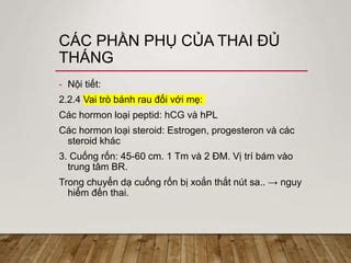 Các phần phụ của thai đủ tháng ppt