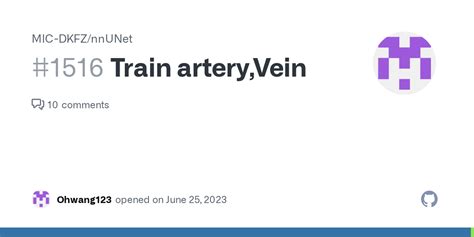 Train Arteryvein · Issue 1516 · Mic Dkfznnunet · Github