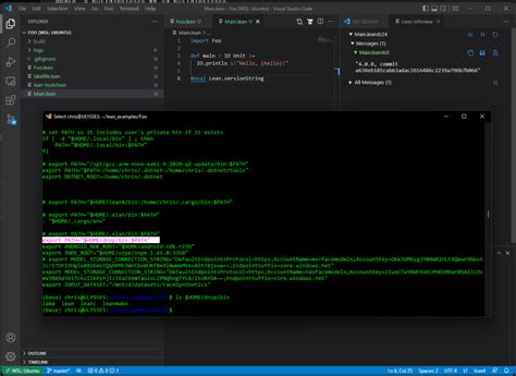 server doesn t start without elan · issue 164 · leanprover vscode