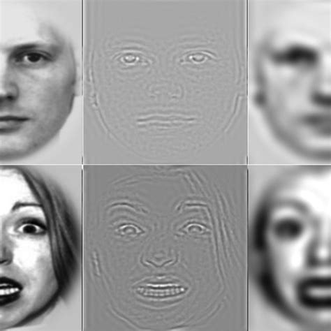 Example Stimuli Normal Broad Spatial Frequency Bsf Fearful And Download Scientific Diagram