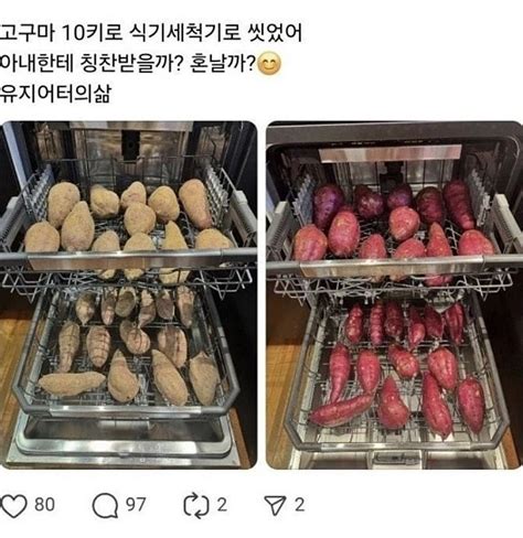 식기 세척기의 또 다른 사용법 해피라이프