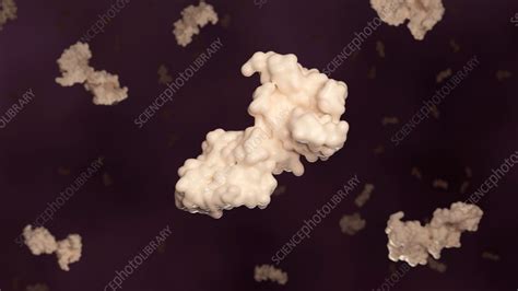 Vascular Endothelial Growth Factor Illustraton Stock Image C058 1737 Science Photo Library