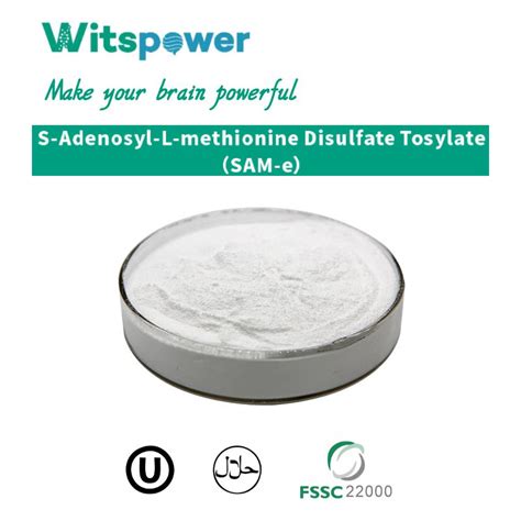 S Adenosyl L Methionine Disulfate Tosylate Same Disulfate Tosylate