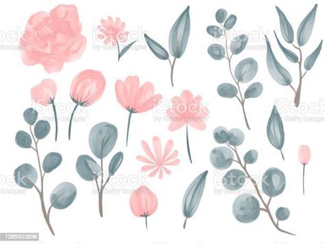 웨딩 구성을위한 수채화 꽃과 유칼립투스 가지의 컬렉션 수채화에 대한 스톡 벡터 아트 및 기타 이미지 수채화 결혼식 고풍스런 Istock