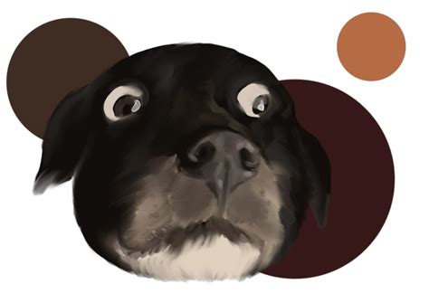 Draw Your Meme In Procreate By Fiveeuroart Fiverr