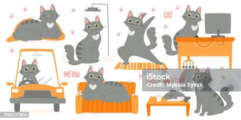 사랑스러운 고양이 만화 캐릭터 일상 매일 작업 및 휴식 일정 벡터 일러스트 레이 션 애완고양이에 대한 스톡 벡터 아트 및 기타 이미지 애완고양이 등장인물 일과