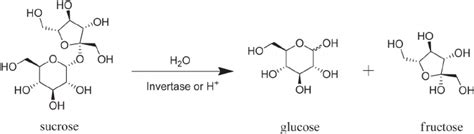 Chemical Structures Demonstrating The Inversion Of Sucrose To Glucose Download Scientific
