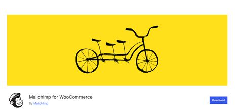 Fixing Mailchimp Woocommerce Sync Stuck Issues A Step By Step Guide