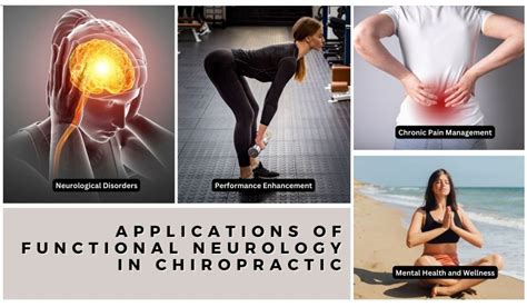 Brain Health Unleashed Functional Neurology In Chiropractic Care