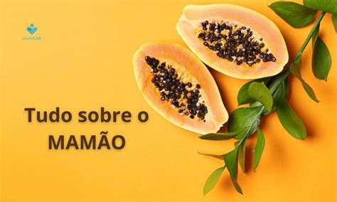 Mamão Como Comprar Armazenar Limpar E Preparar Para Consumir Sem Problemas