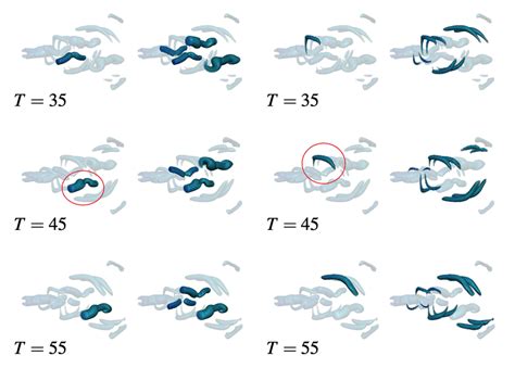 A Primary And Secondary Vortex Structure Have Been Selected At T 45