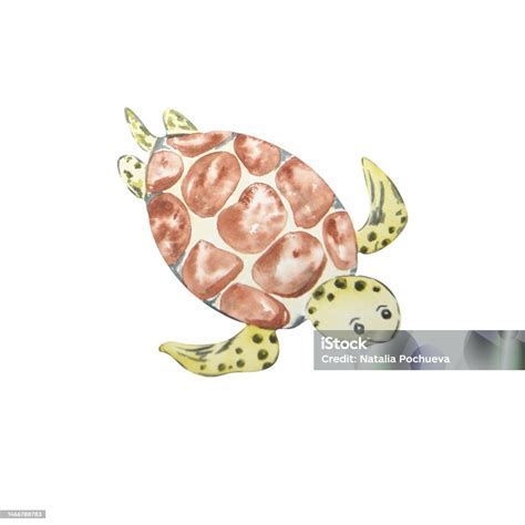 바다 거북의 수채화 그림입니다 래스터 핸드메이드 포스터 티셔츠 라벨 엽서 디자인에 사용할 수 있습니다 거북이에 대한 스톡 벡터 아트 및 기타 이미지 Istock