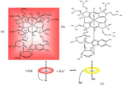 Vitamin B12 Structure