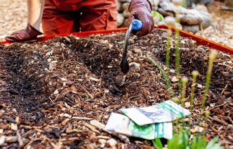 Should You Remove Old Mulch Every Year