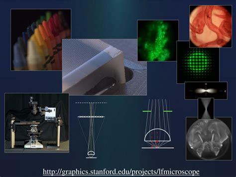 Ppt Light Field Microscopy Powerpoint Presentation Free Download Id 248069