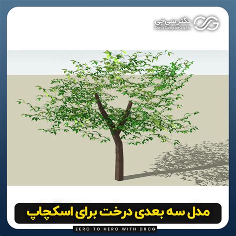 دانلود مدل سه بعدی درخت برای اسکچاپ آبجکت درخت رایگان فایل Obj دکتر سی جی