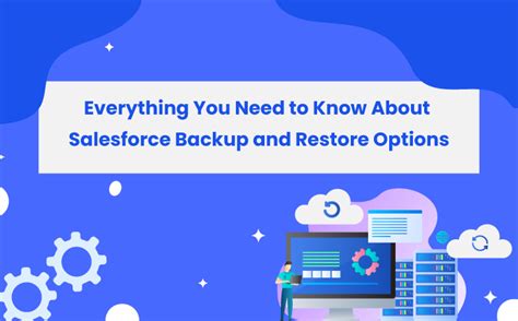 Guide For Perfect Salesforce Data Backup Solution Dataarchiva