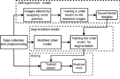Figure 1 From Self Supervised Approach For Organs At Risk Segmentation