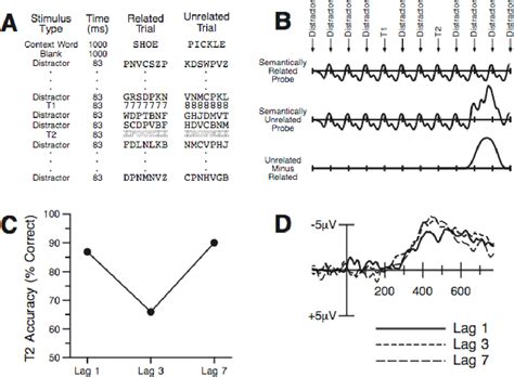[pdf] An Introduction To The Event Related Potential Technique Semantic Scholar