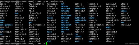 【linux工具】编译器、调式器、项目自动化构建工具以及git的使用（1编译器）git自动编译工具 Csdn博客