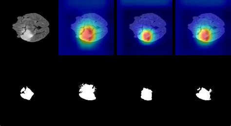 Visualization Of The Activation Map Top Row And Ground Truth Download Scientific Diagram
