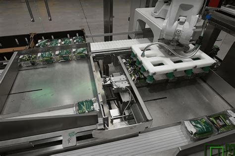 robotic vegetable tray loading system for punnets propac