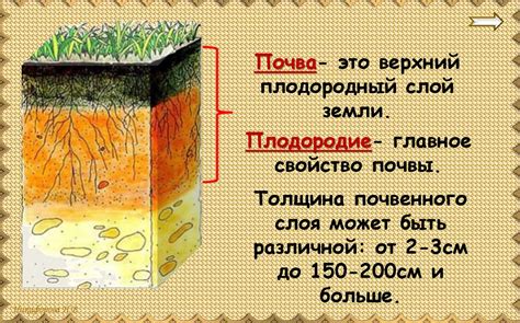 Что такое почва Урок 14 презентация онлайн