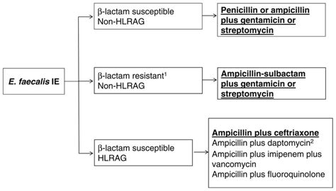 Enterococcal Endocarditis Can We Win The War Pmc