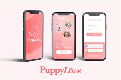 Build Android App Ios Mobile App Ios App Using Flutter By Bestcodder Fiverr